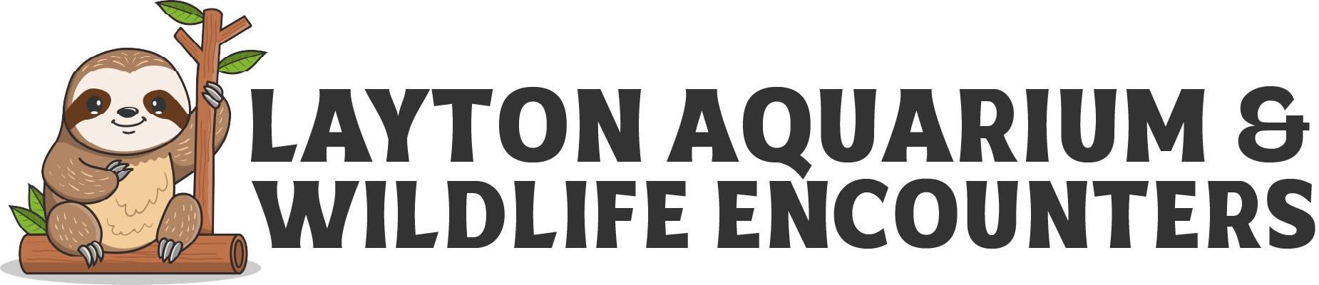 Utah Aquariums: Layton Aquarium vs. Loveland Living Planet | Layton ...