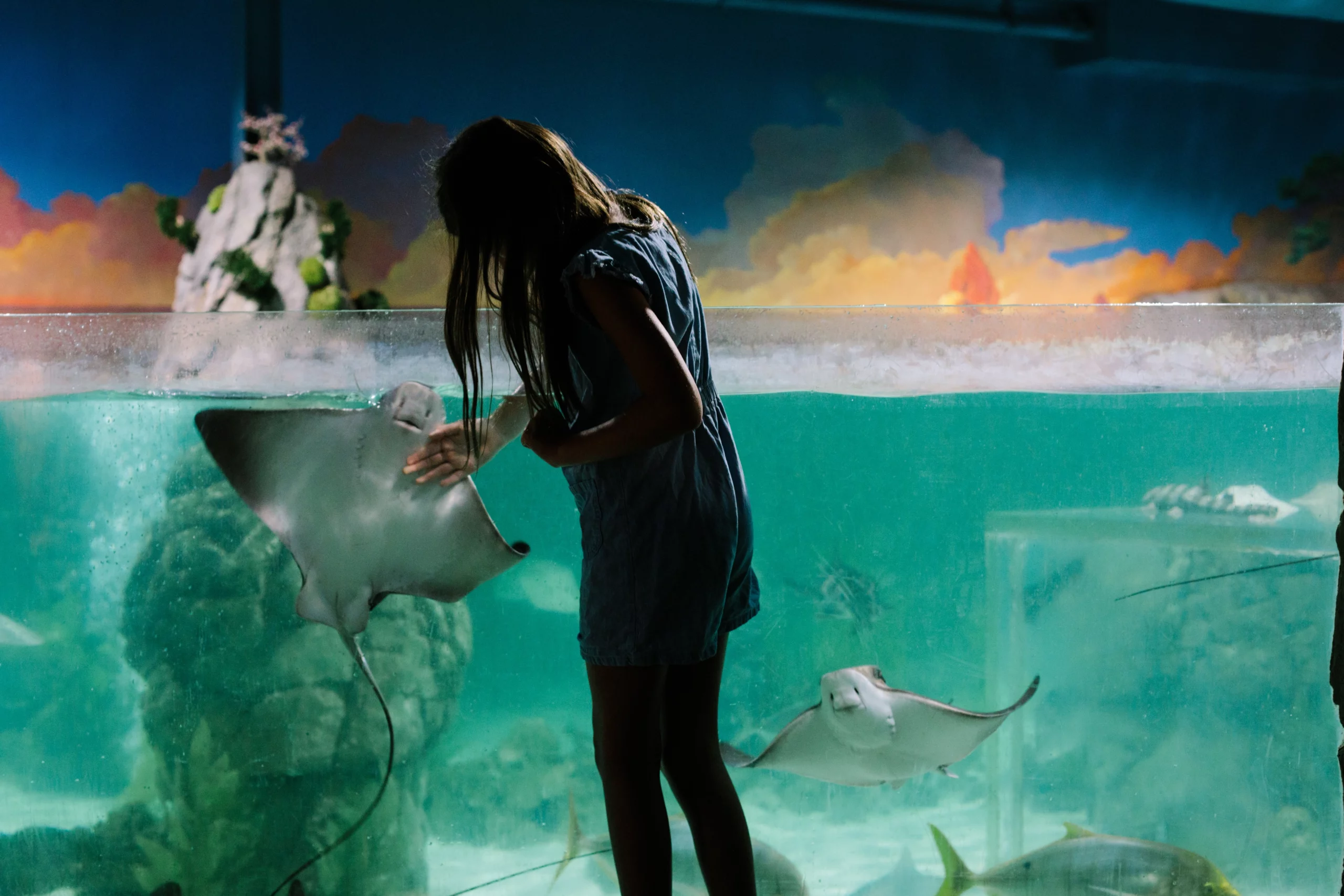 How Interactive Aquariums Are Changing the Way We Learn About Animals ...