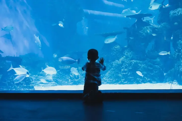 Layton Aquarium & Wildlife Encounters | Utah Aquarium