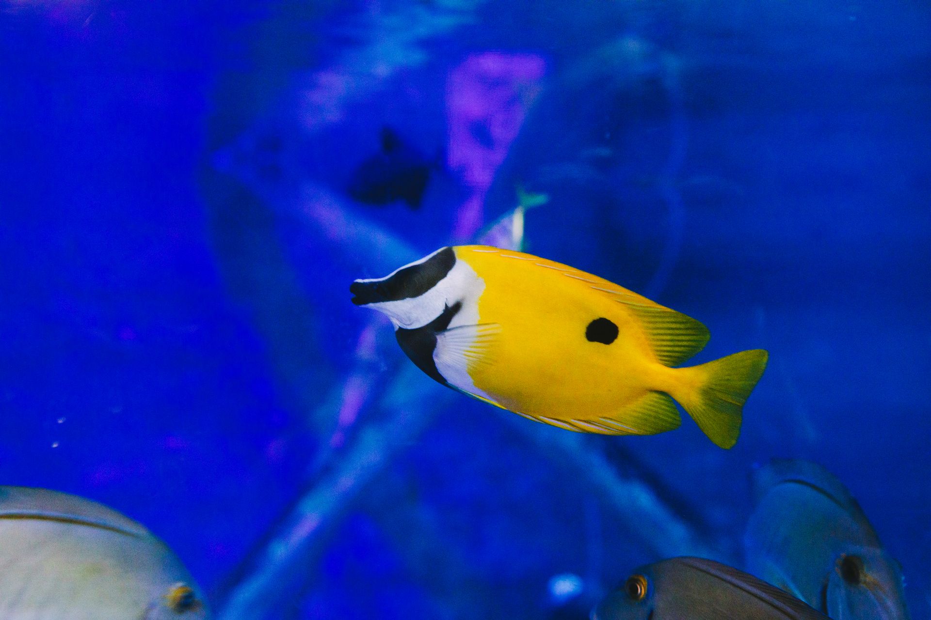 Layton Aquarium & Wildlife Encounters | Utah Aquarium