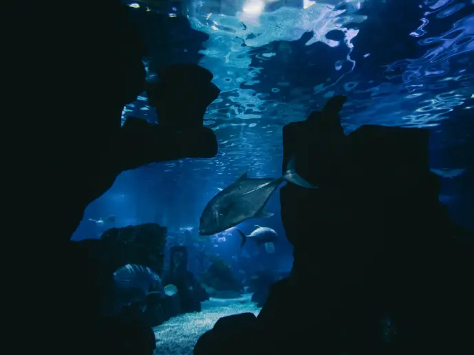 School Field Trips in Utah | Layton Aquarium – Touch, Feed & Explore!