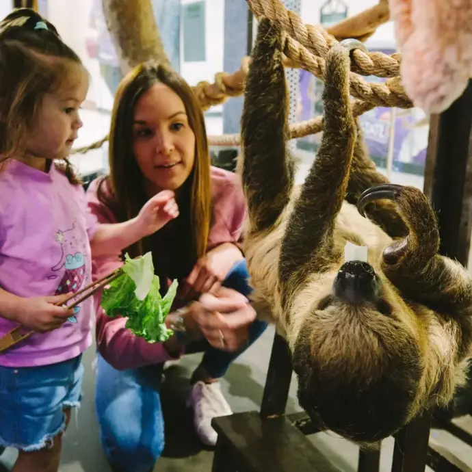 Promos | Layton Aquarium & Wildlife Encounters